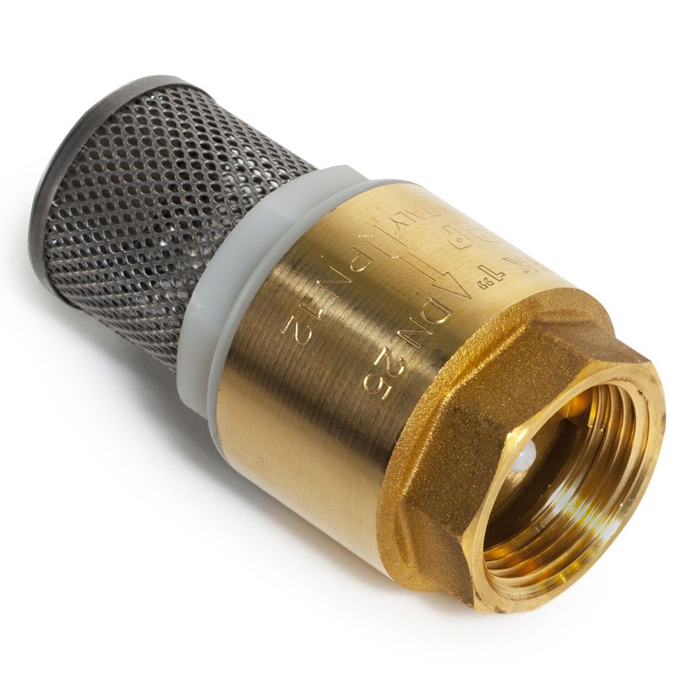 BRASS FOOT VALVE 2'' + SS FILTER