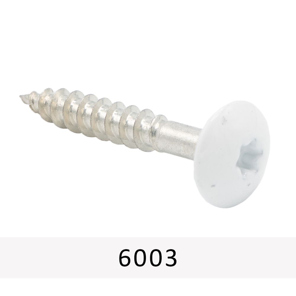P1094 SS COLOR SCREW 4.8X30MM TRAFFIC WHITE (003)